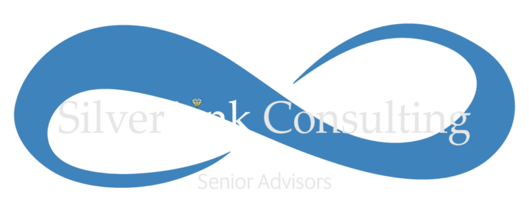 Silver Link Consulting